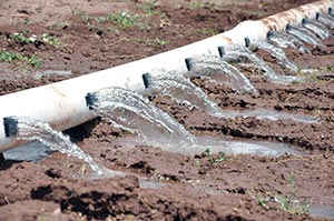 Wheatfields irrigation flows again - Navajo Times