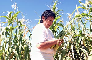 The Navajo Times Online - News: Couple's partnership produces 8-feet ...