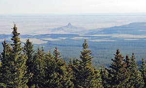 The Navajo Times Online - News