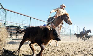 Resource for ranchers: Padres Mesa Ranch teaches by example - Navajo Times