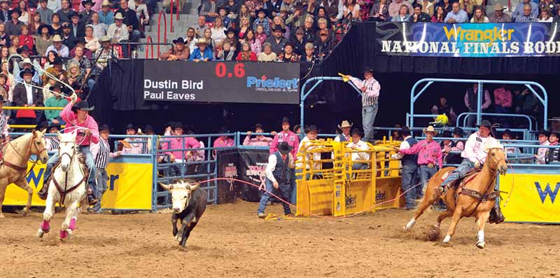 Rogers, partner place seventh in team-roping average - Navajo Times