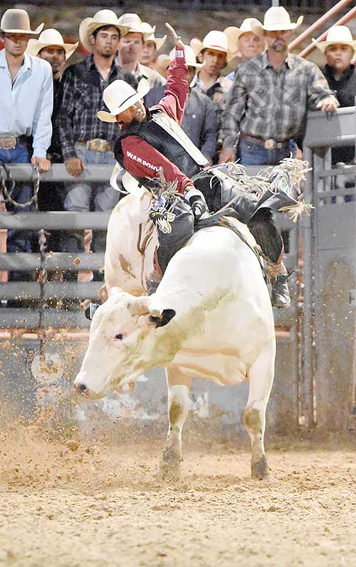 Tuba City bull rider continues hot streak, places fourth at Wild Thing ...
