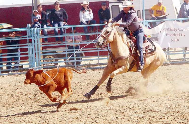 Northern Navajo Fair - Navajo Times
