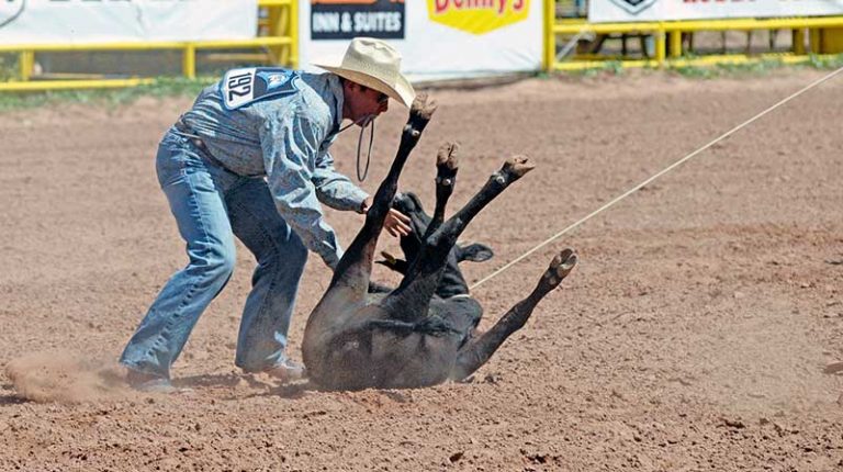 Navajo Nation Fair Rodeo - Navajo Times