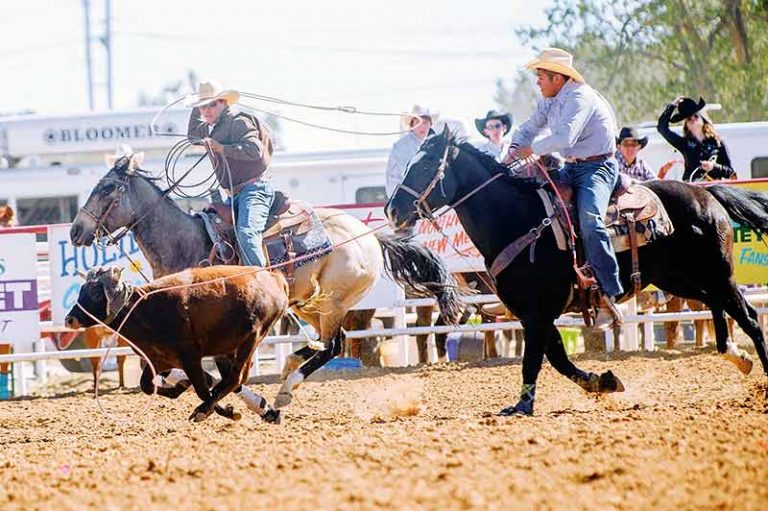 Crownpoint cowboy passes litmus test, wins average title - Navajo Times