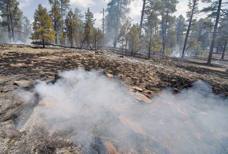 Fire on the Summit 20 percent contained - Navajo Times