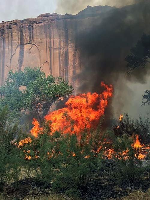 Fires popping up in spite of restrictions - Navajo Times