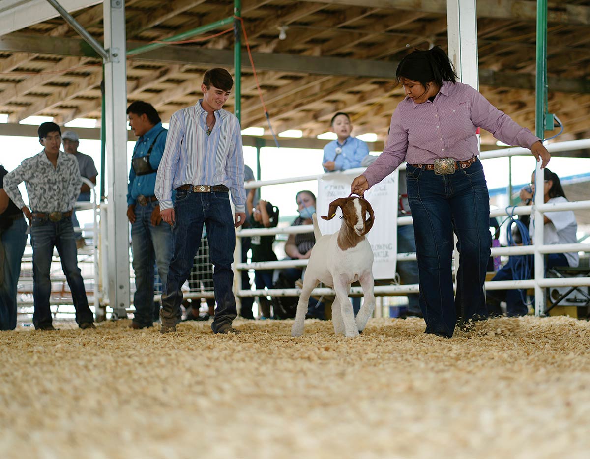 Slideshow | The fair is back! - Navajo Times