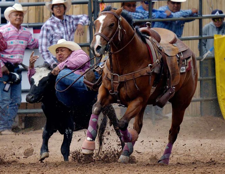 Navajo Nation Fair: Bates, Seaton clinch all-around at 74th fair ...