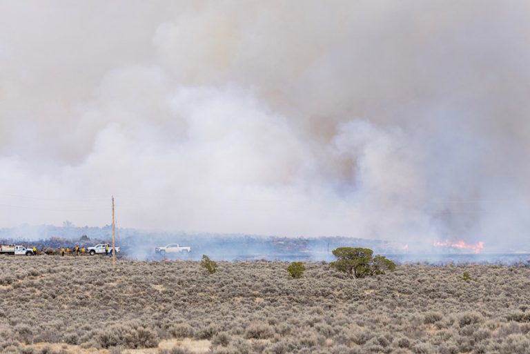 Spider Fire near Whitecone forces some evacuations - Navajo Times