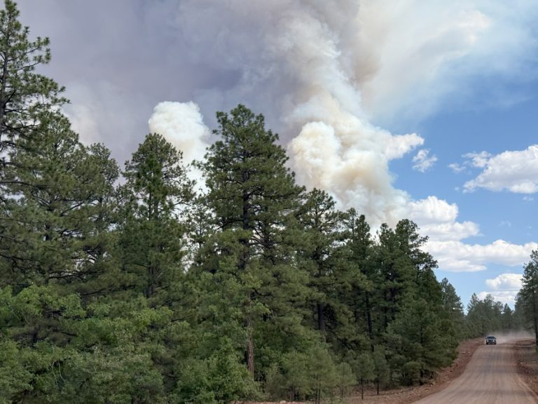 Smoke rises over St. Michaels as Oak Ridge Fire spreads - Navajo Times