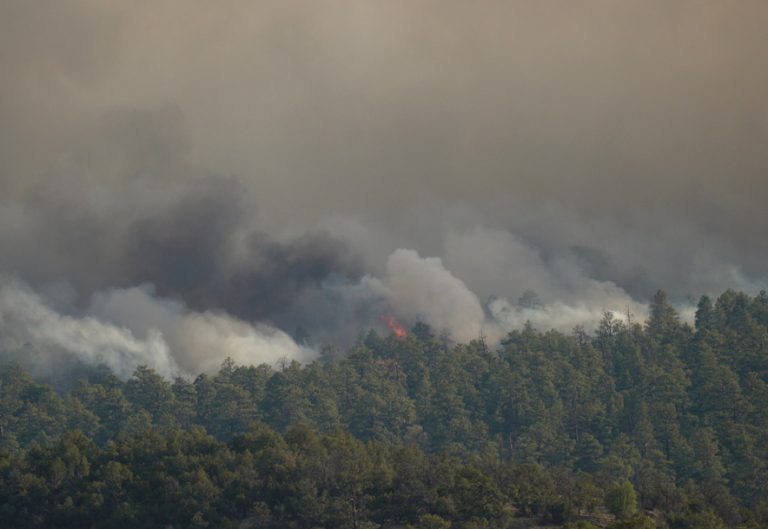 Oak Ridge Fire grows, prompts voluntary evacuations near St. Michaels ...