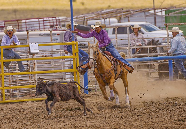 Barrel racer Jodelle Bitloy wins Eastern Navajo Fair - Navajo Times